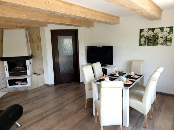 Elbblick-grosse-loftwohnung-mit-terasse-sauna-und-kamin - Rathen