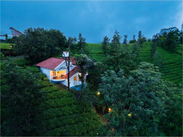 Falcon Crest - Vagamon