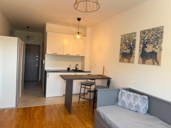 Pretty Apartment Budva For Single Stay - Budva