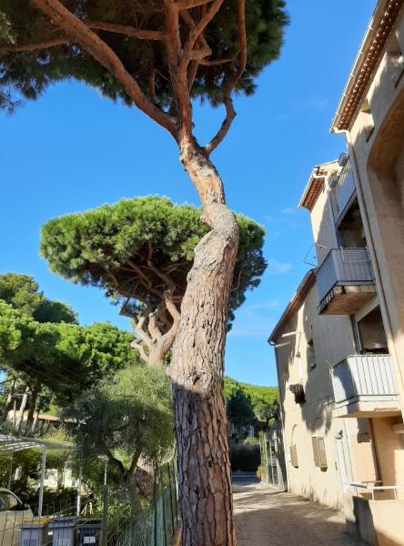 Appartement Confortable à Proximité De La Mer 45 M² - Hyères