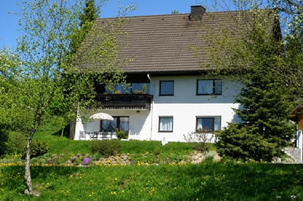Haus Janßen-wehrle - Titisee-Neustadt