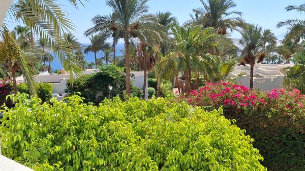 Suit Privata Coral Bay - Sharm El-Sheikh