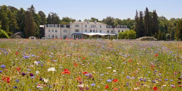 Coworth Park - Dorchester Collection - Windsor, UK