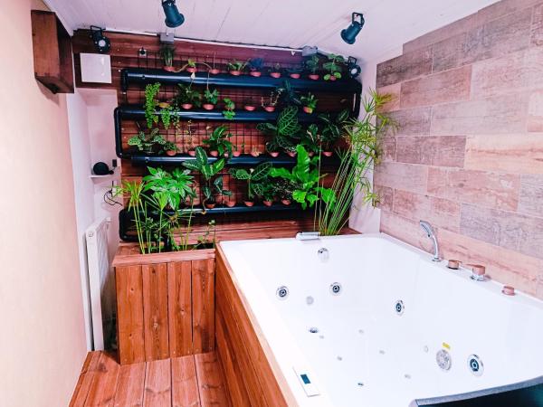 Hébergement Atypique, Spa Et Sauna Privatif - L'enchanteuse - La Roche-sur-Yon