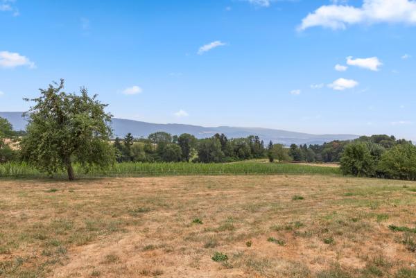 Appartement Rénové, Avec Climatisation Et Calme - Murten