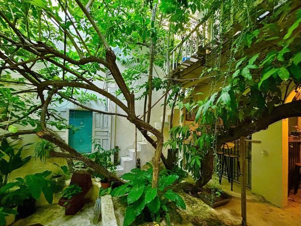 Brother House - Vietnam
