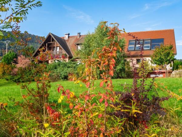 Appartement Charmant à Thannenkirch Avec Vue Montagne - Bergheim
