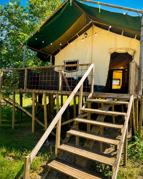 Camping Lézard Vacances - Tente Safari Papillon - Aveyron