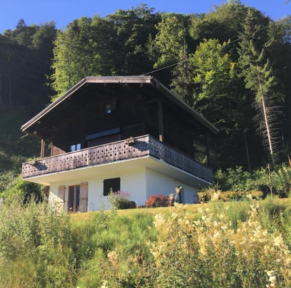 Chalet Heidi House Samoens - Morillon