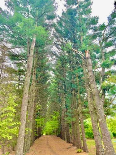 Byo Tent Or Rv To Camp Squid - Frankfort, MI