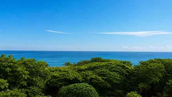 Horizon Hotel & Yoga Center - Costa Rica