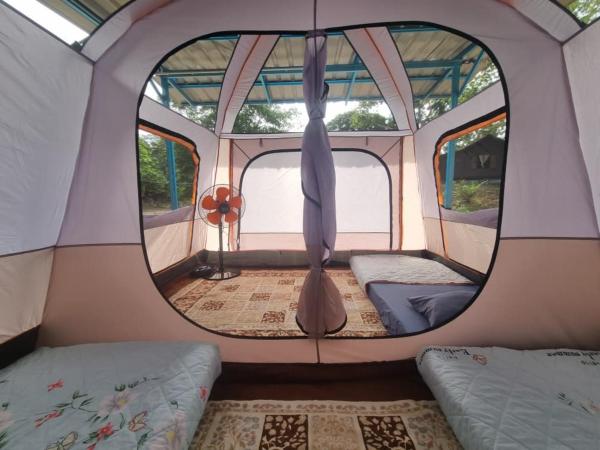 D'tahan Campsite Taman Negara - Malaysia