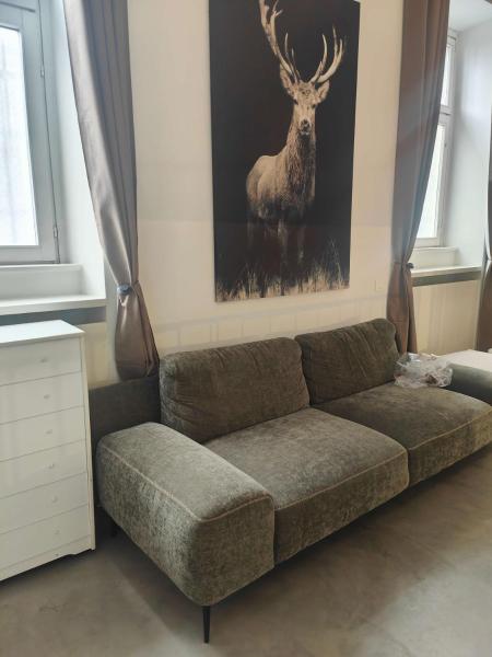 Aurora Vittore Apartment - Verbania