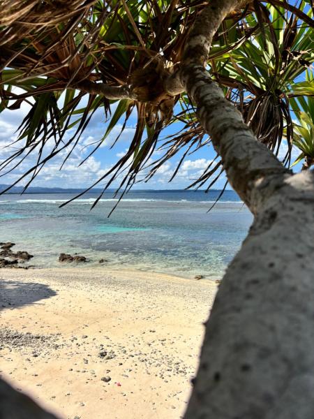 Birdies Beach House, Private Beach, Surf & Snorkel - Vanuatu