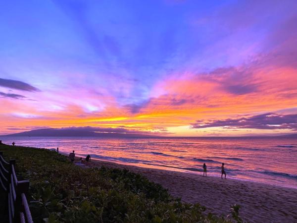 Penthouse-paradise Ocean View Condo & Full Kitchen - Hawaï
