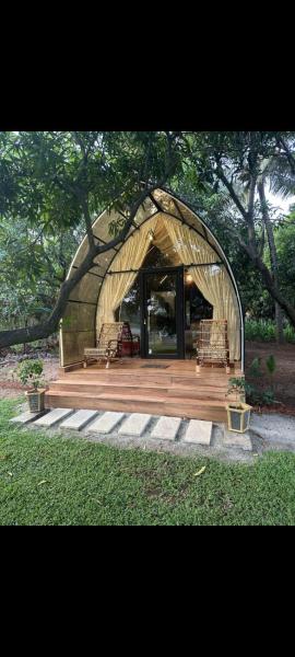 Farm Stay - Kerala