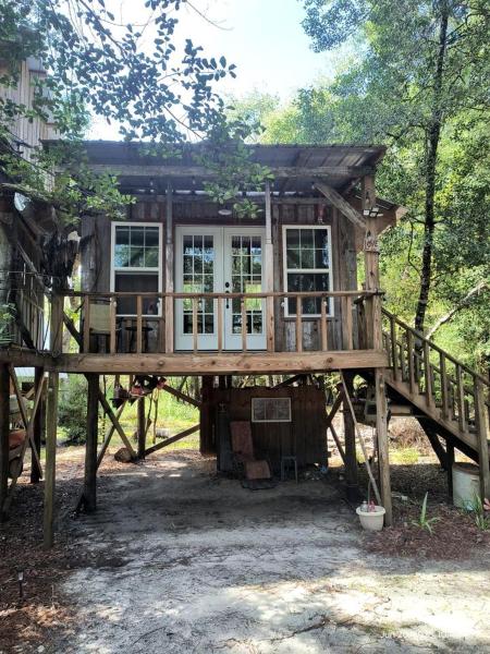 Off-grid Riverfront Cabin Near Satilla River, Georgia - Florida
