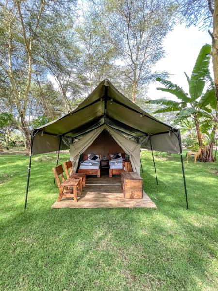Africa Safari Karatu Camping - Tanzania