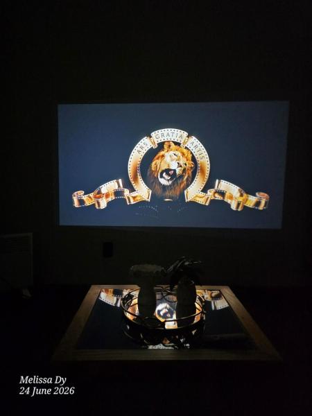Private Lakeview Loft Suite With Home Cinema - Rotorua