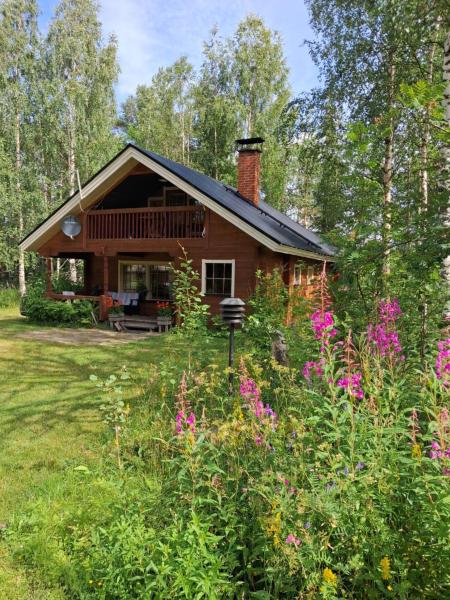 Lapikas - Lapland