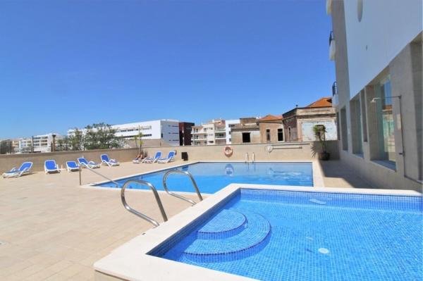 Palm Tree - Lagos, Portugal