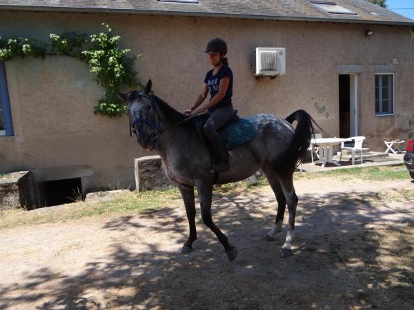 Tout Crin - Nièvre