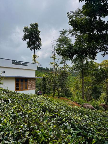 Private Tea Plantation Stay With Private Waterfall - Vagamon