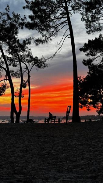 Maison Moderne En Face De La Mer - Arcachon