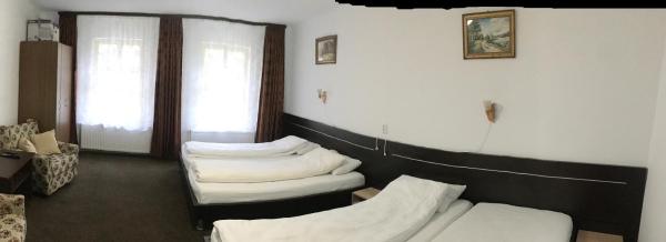Iony Apartament - 시비우