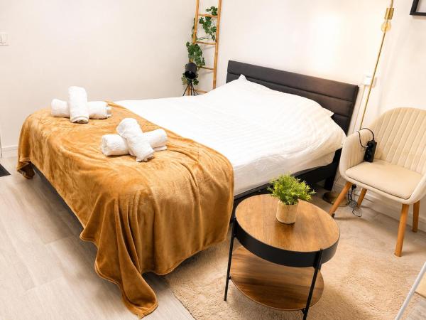 Studio Cosy Du Stade De Lille - Villeneuve-d'Ascq