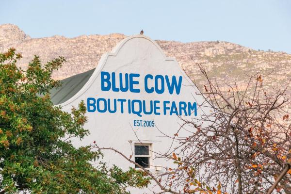 Blue Cow Barn - Boutique Farm - South Africa