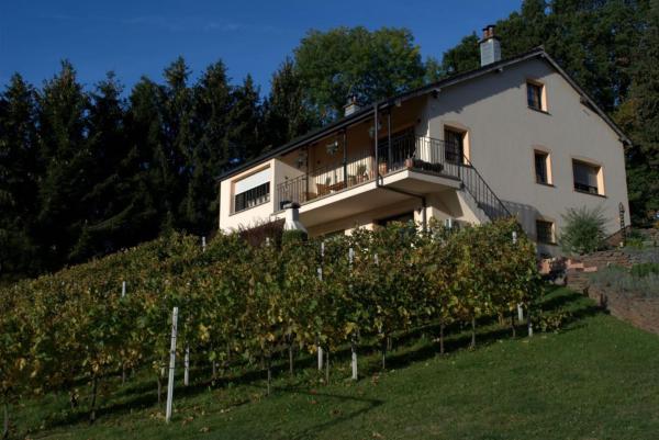 Casavitis "Erholung Am Weinberg" - Aachen