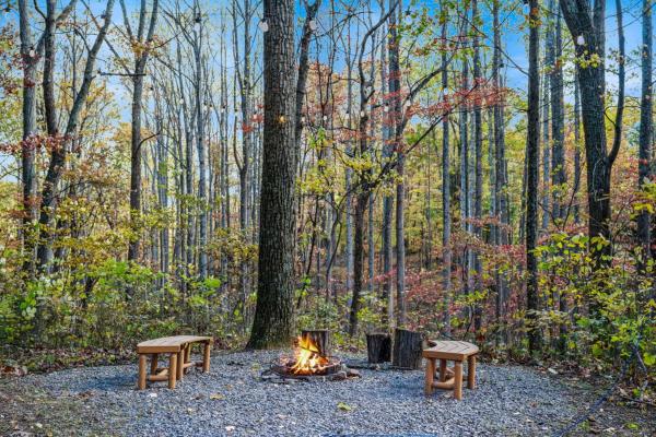 A Humble Abode - - Pet Friendly, Fire Pit, Deck, Grill, Wood Stove, Games, Wifi, 6 Acres - Long Pond, Little Orleans