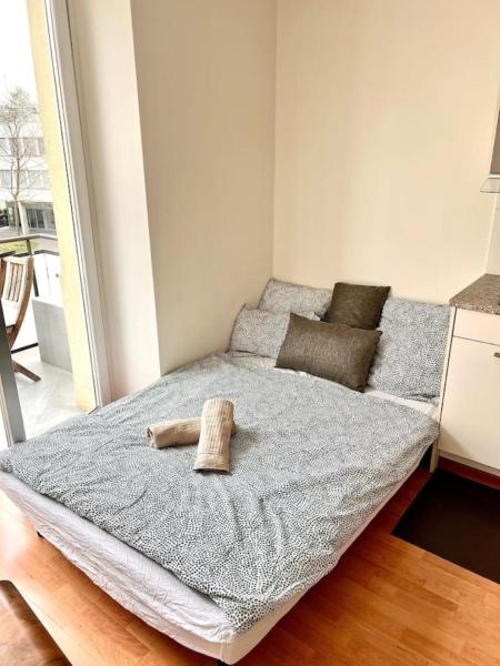 2 Room Center Zurich Flats With Balcony - Hildab - Winterthur