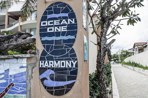 Ocean One - Harmony! - Cabarete