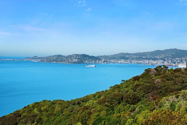 Million Dollar View - 威靈頓