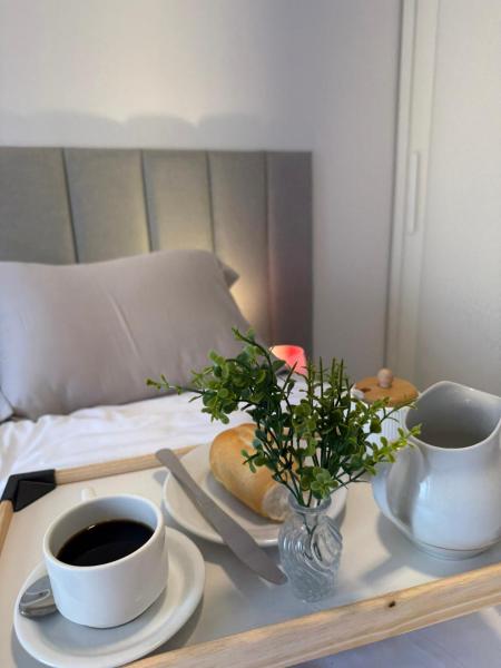 Steiner Stay - Joinville