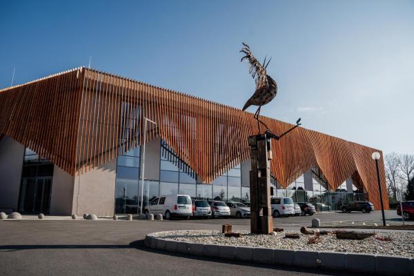 Hotel Narcisa - Eslovenia