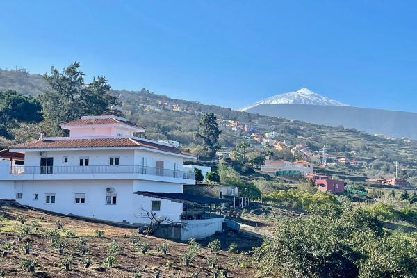 Sea View Avocado Finca Ten Days - Teneriffa