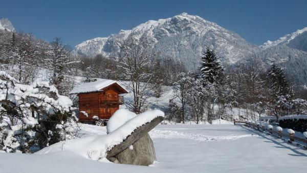Chamonix Petit Chalet Cocooning - Les Houches