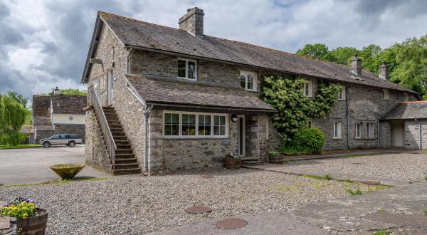 Crabtree At The Graythwaite Estate - Newby Bridge
