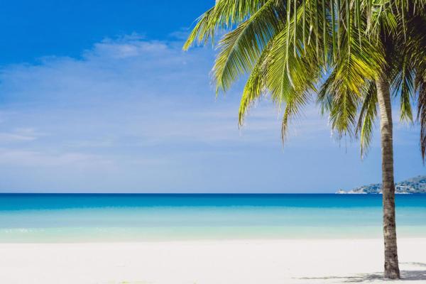 Tropical Dolce Vita Hotel Rooms Wifi Swimming Pool Beach Club & Spa - Punta Cana