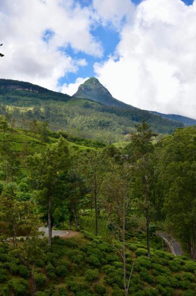 Hotel Blue Sky Adams Peak - Sri Lanka