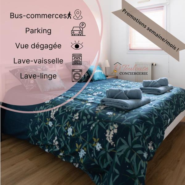 Parenthèse Ensoleillée - Terrasse Et Parking - Toulouse
