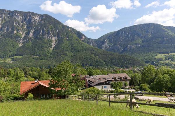 Flackl - Wirt - Puchberg am Schneeberg