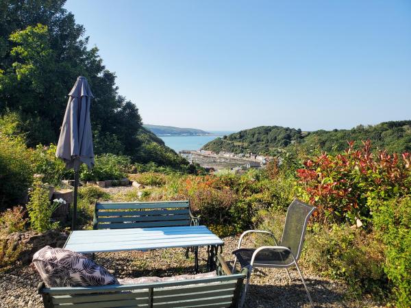 Blue Top - Fishguard