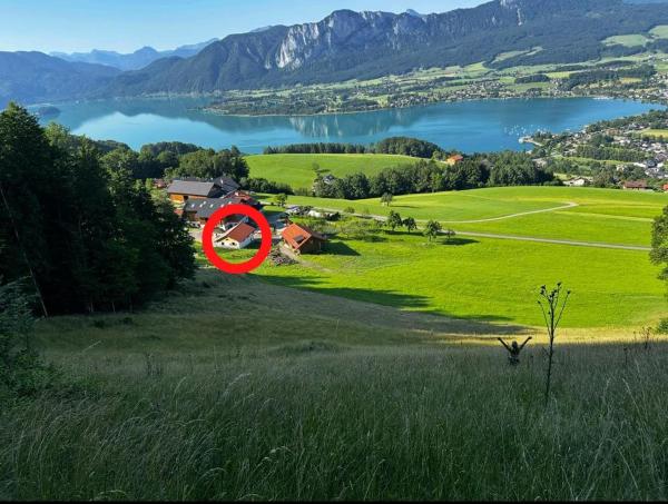 Familienhof Kain - Wolfgangsee