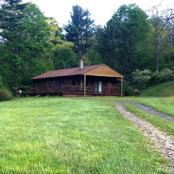 Brown Drake Lodge - Elk County, PA