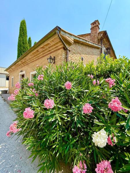 Casa L Oleandro - Pienza