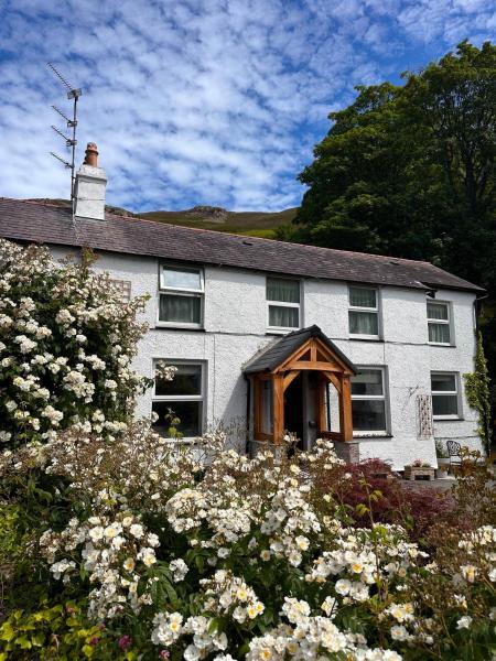 Elegant 4-bed Pet-friendly Retreat In Snowdonia - Conwy
